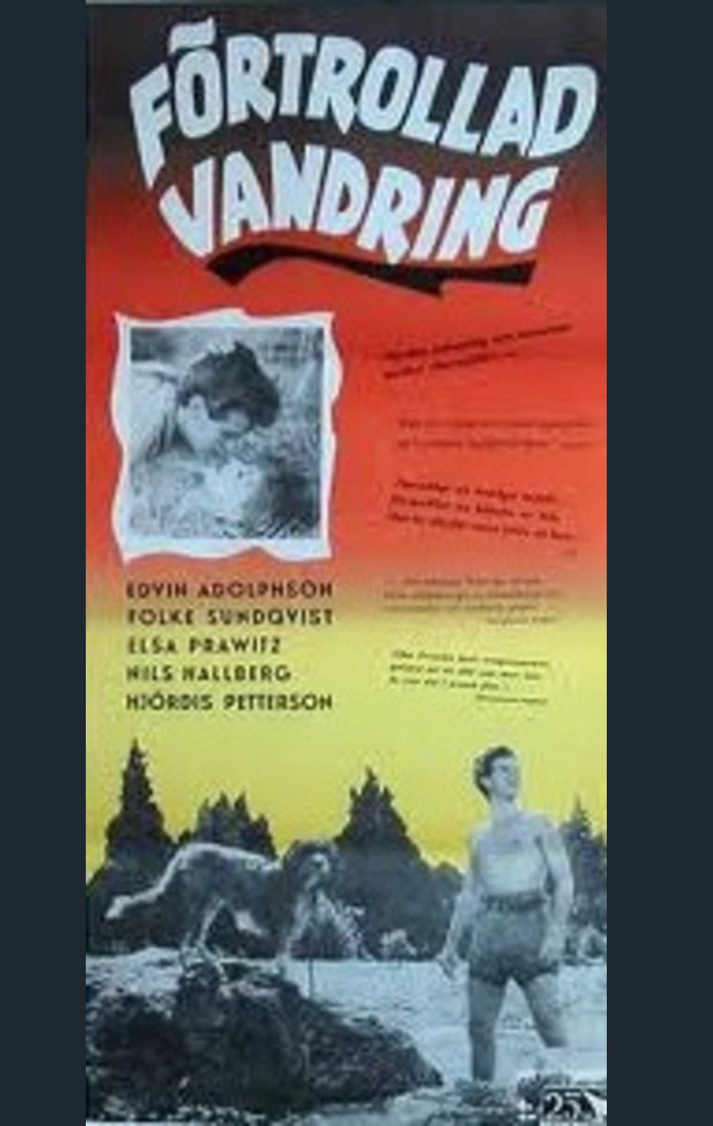 Enchanted Journey | Cultpix