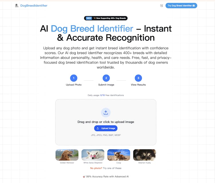 AI Dog Breed Identifier - Free Online Dog Breed Recognition